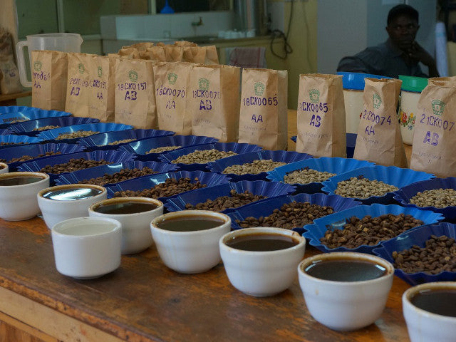 ケニア ギキリマ AB Kenya Gikirima AB – 三ツ豆珈琲